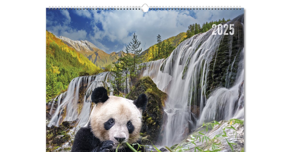 Endangered Species Promotional Wall Calendar | Brunel Promotions